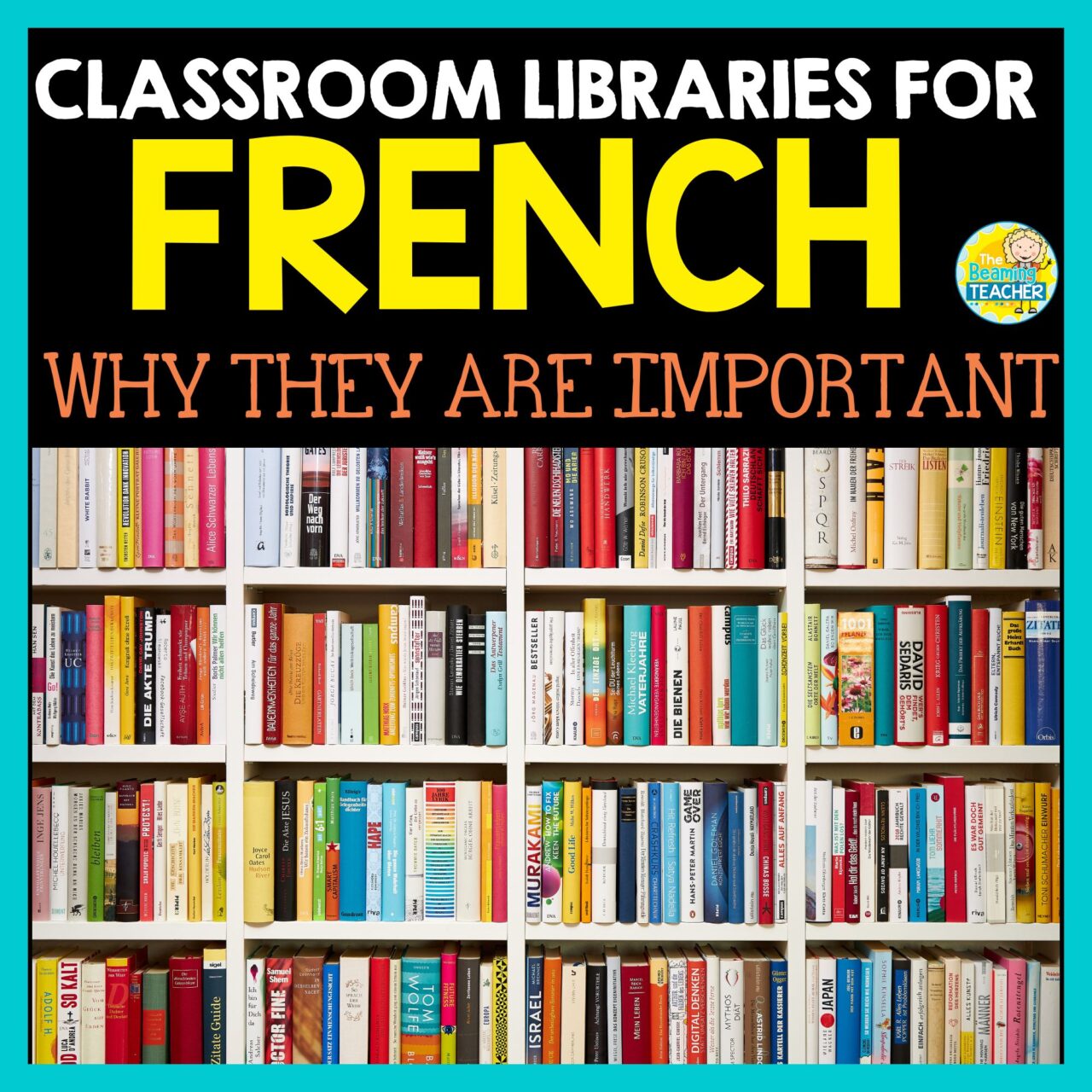 French Classroom Libraries: 3 Reasons Why They are Important